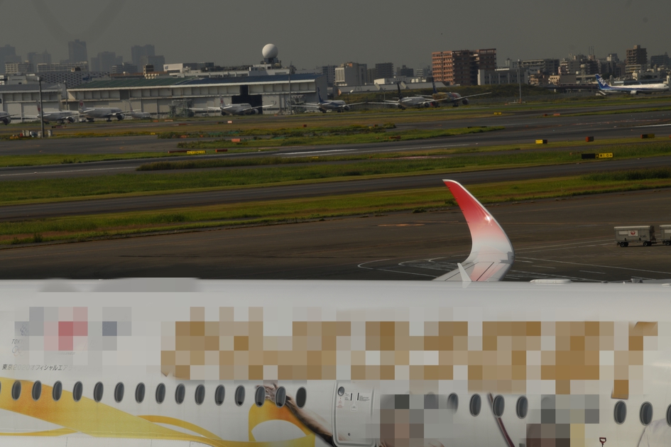 金鶴丸撮影作戦 #第三の矢 #目標達成 完遂 令和三年十...